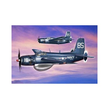 Ace 72304 Maquette Grumman AF-2W Guardian - francis miniatures