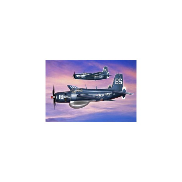 Ace 72304 Maquette Grumman AF-2W Guardian - francis miniatures